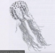 Chirodectes maculatus – Naturalist's Guide