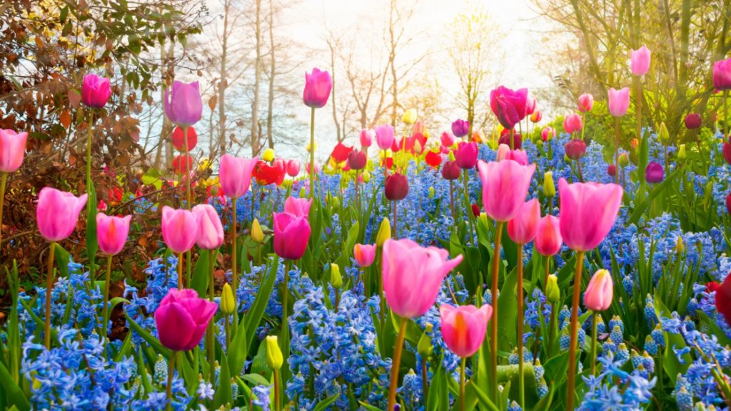The First Day of Spring 2025 is Thursday, March 20 at 5:01 a.m. EDT ...